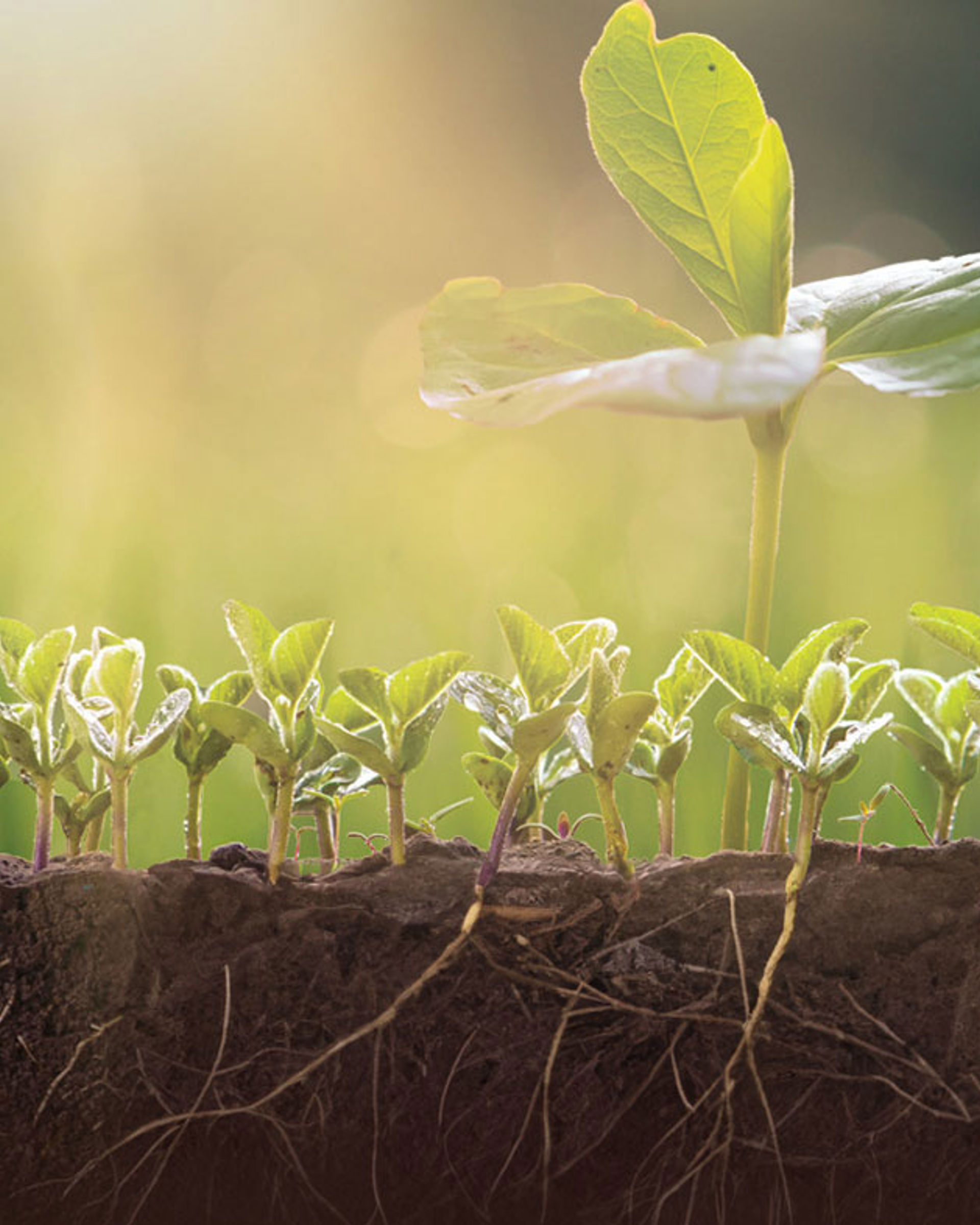 First launch of garment with innovative Infinna™ fibre | BESTSELLER